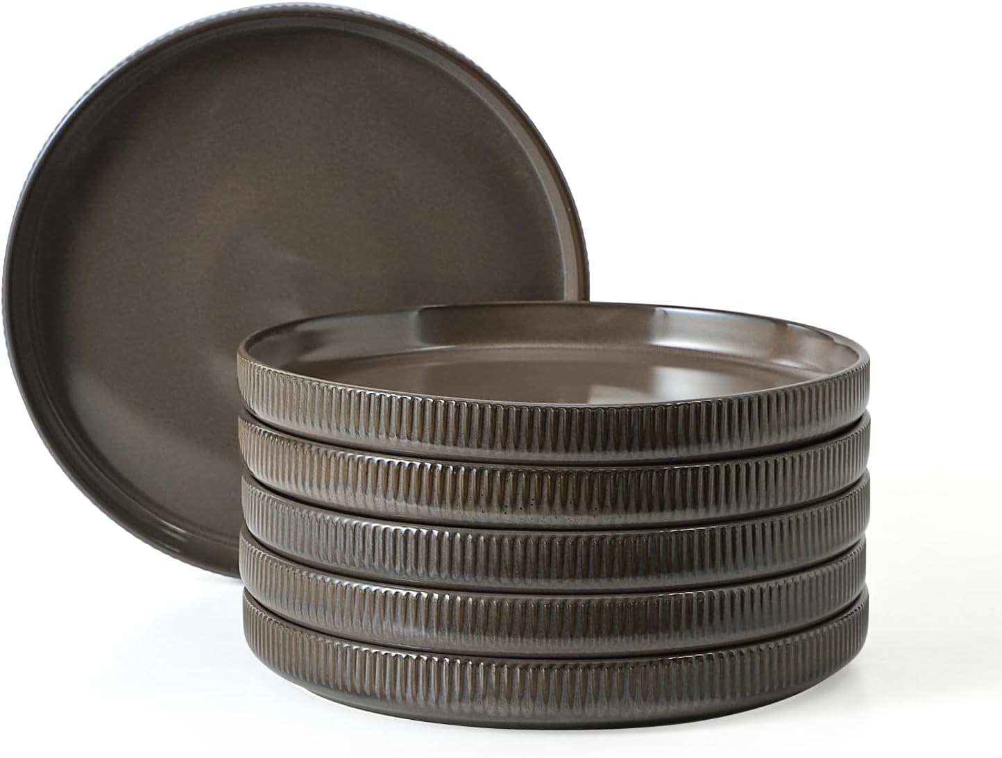 Amazon.com | Frewinky Ceramic Dinner-Plates Set of 6,Stoneware Plates ...