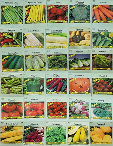 Set of 30 Best Vegetable seeds for Create a Deluxe Garden | StylesDaddy