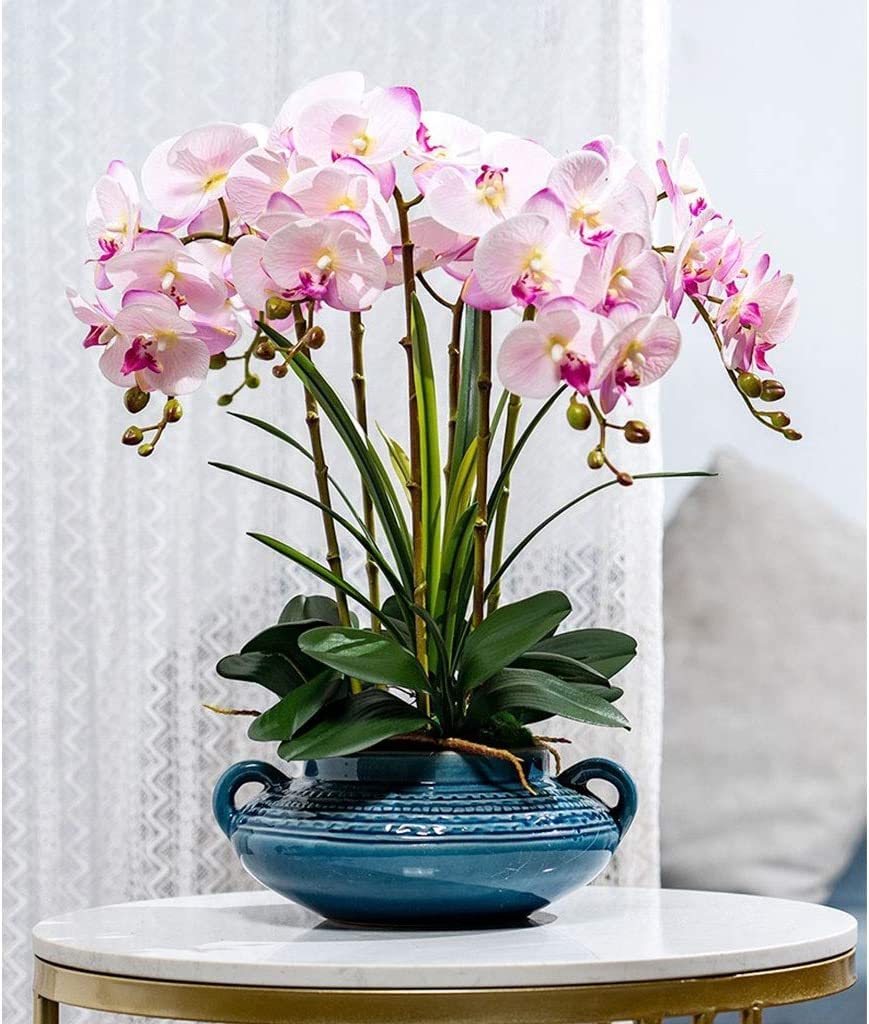 Artificial Orchids 55cm White Orchid Artificial Plant Bunnings