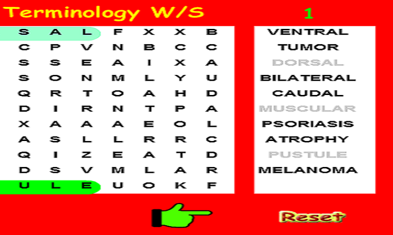 Medical Terminology Word Search - Practice Your Medical Terminology ...