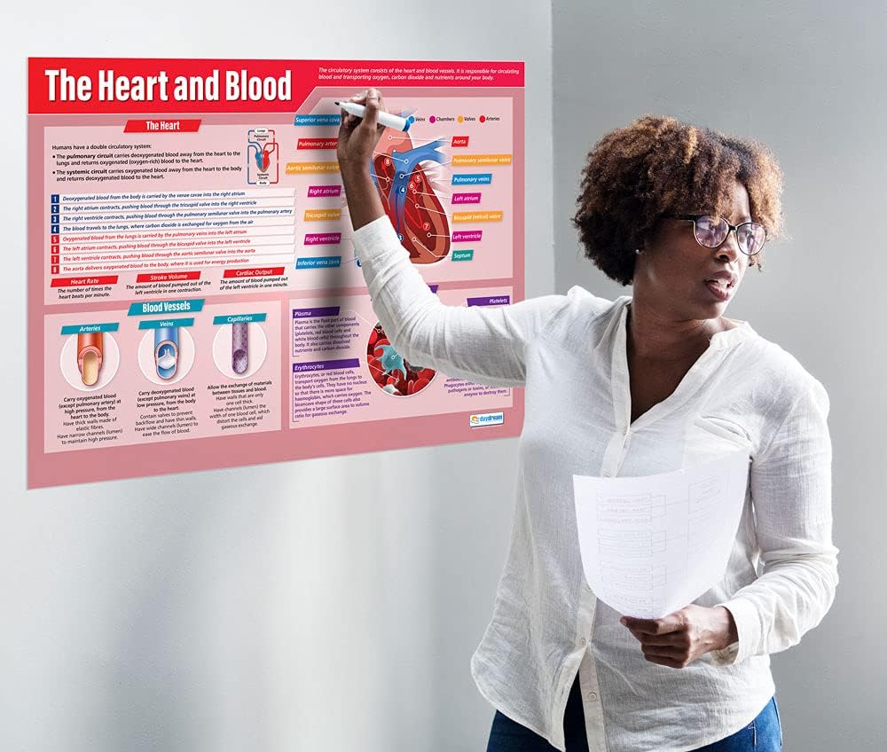 Buy The Heart and Blood | Science Posters | Gloss Paper measuring 33” x ...