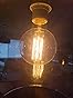 Globe Electric 01320 60W Vintage Edison G30 Vanity Tungsten ...
