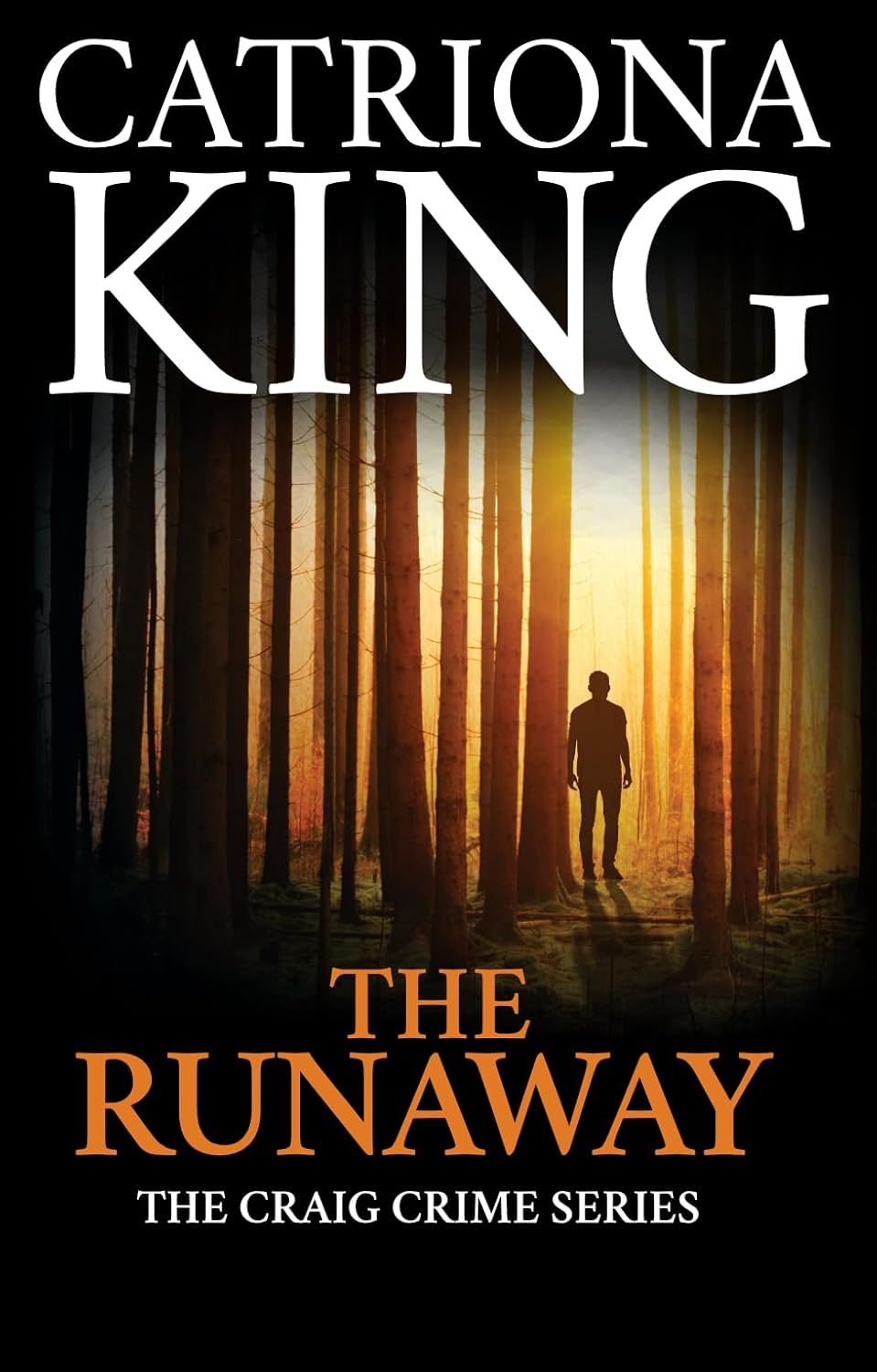 Amazon.com: The Runaway (The Craig Crime Novels Book 32) eBook : King, Catriona : Kindle Store