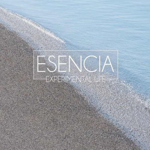 Amazon.com: Esencia Experimental Life : Leo Golub y Sergio Medina: Digital Music