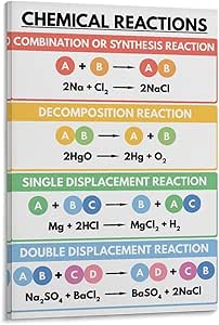 Amazon.com: CHEMICAL REACTIONS Poster Science Classroom Decor ...