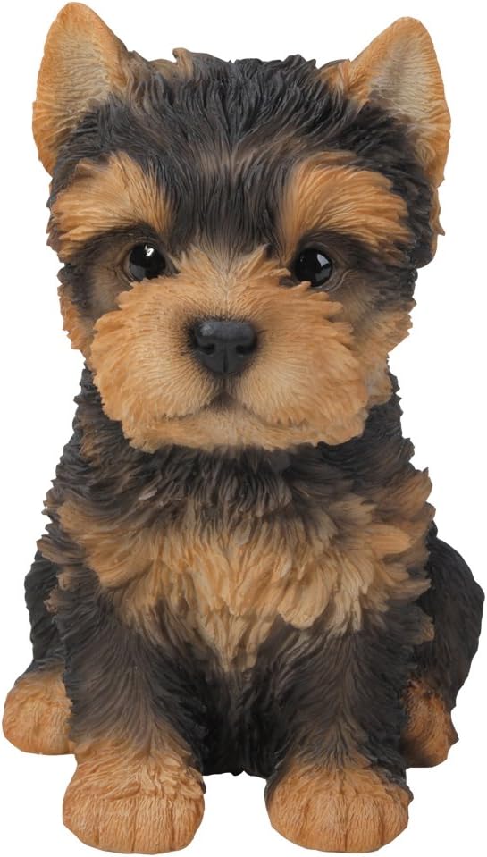 Amazon.com: Hi-Line Gift Ltd Sitting Yorkshire Terrier Puppy, Brown ...