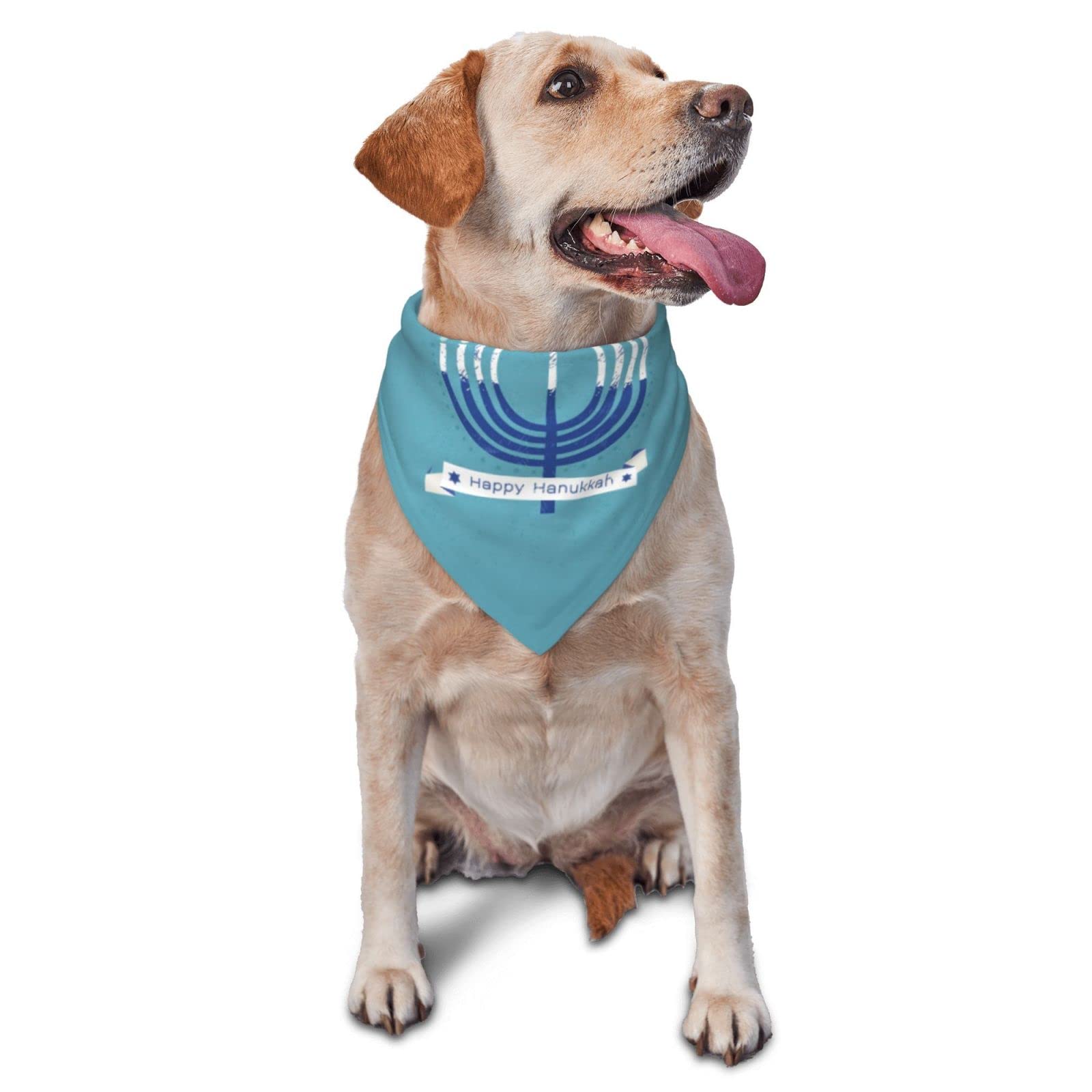 Hanukkah Cats And Dogs