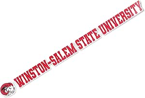 Amazon.com: Desert Cactus Winston-Salem State University Sticker WSSU ...