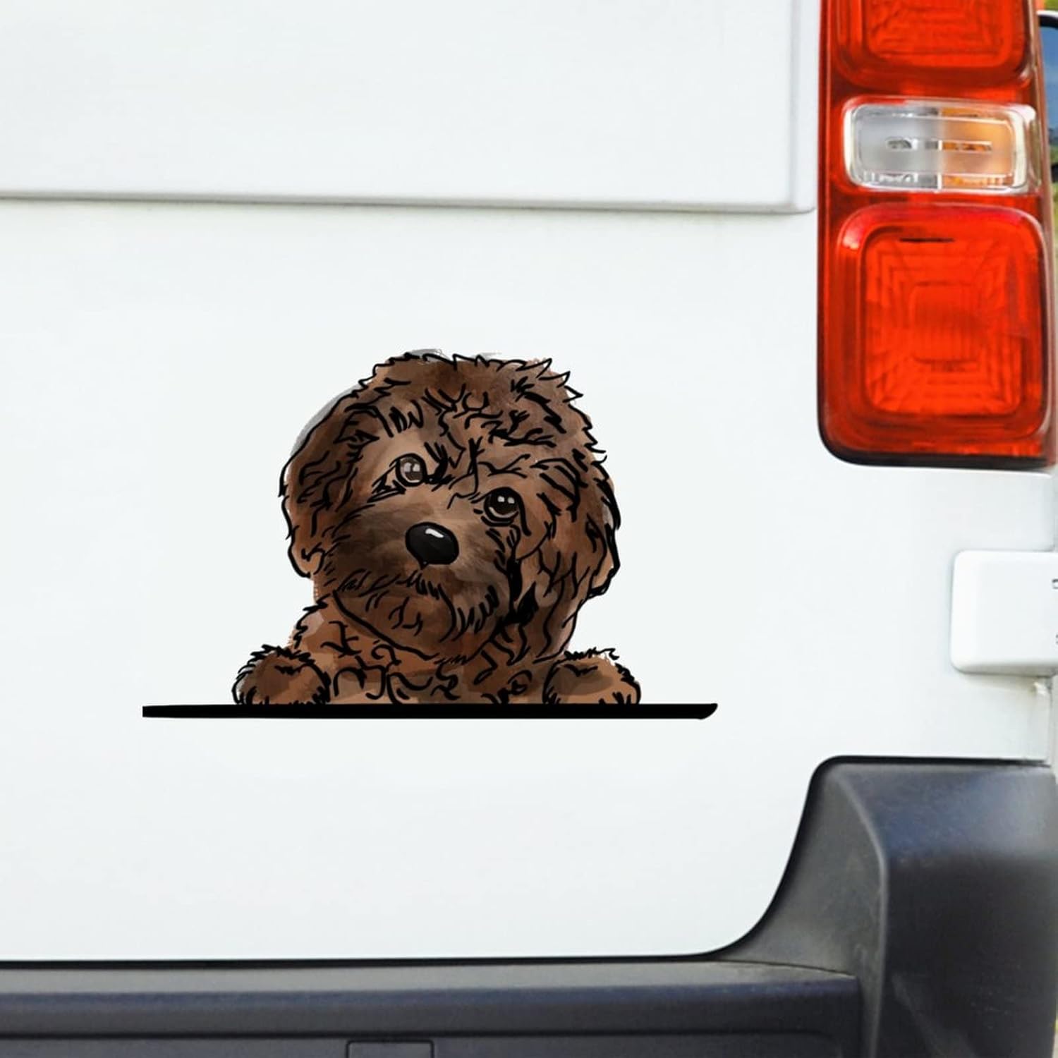 Amazon.com - Cavapoo Bumper Decal for Car Vinyl Watercolor Peeking Dog ...