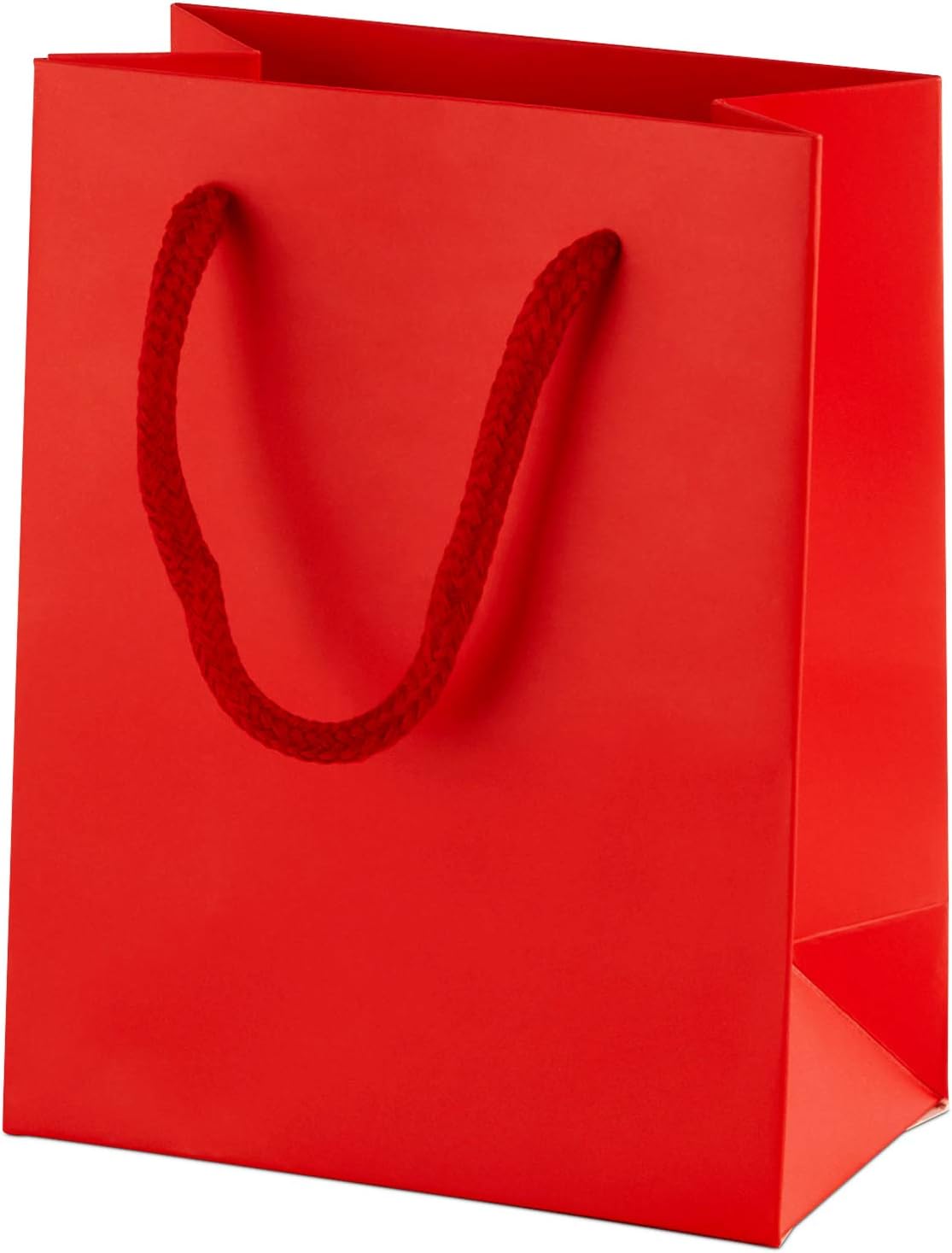 Thepaperbagstore 10 Red Matt Laminated Paper Bags with Rope Handles ...