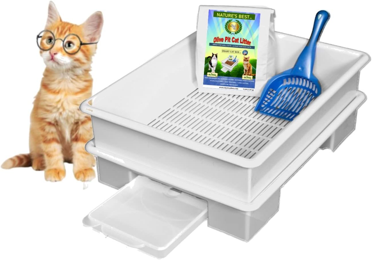 Amazon.com: SMART CAT BOX Starter Kit - Cat Litter Box - Preferred for ...