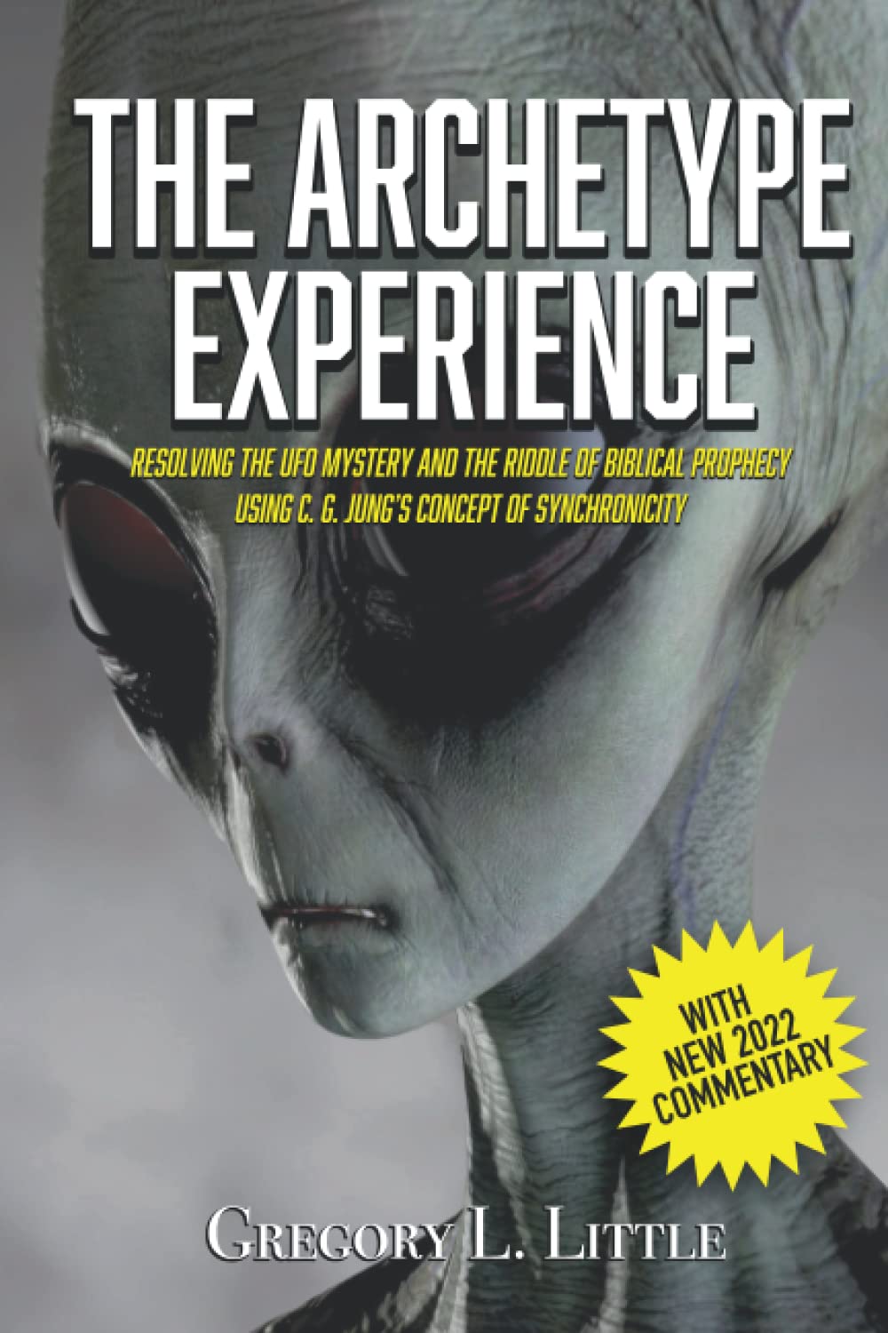 Amazon.com: The Archetype Experience: Resolving the UFO Mystery and the ...
