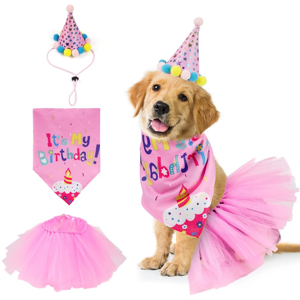 What Breed Is Cupcake From Puppy Dog Pals