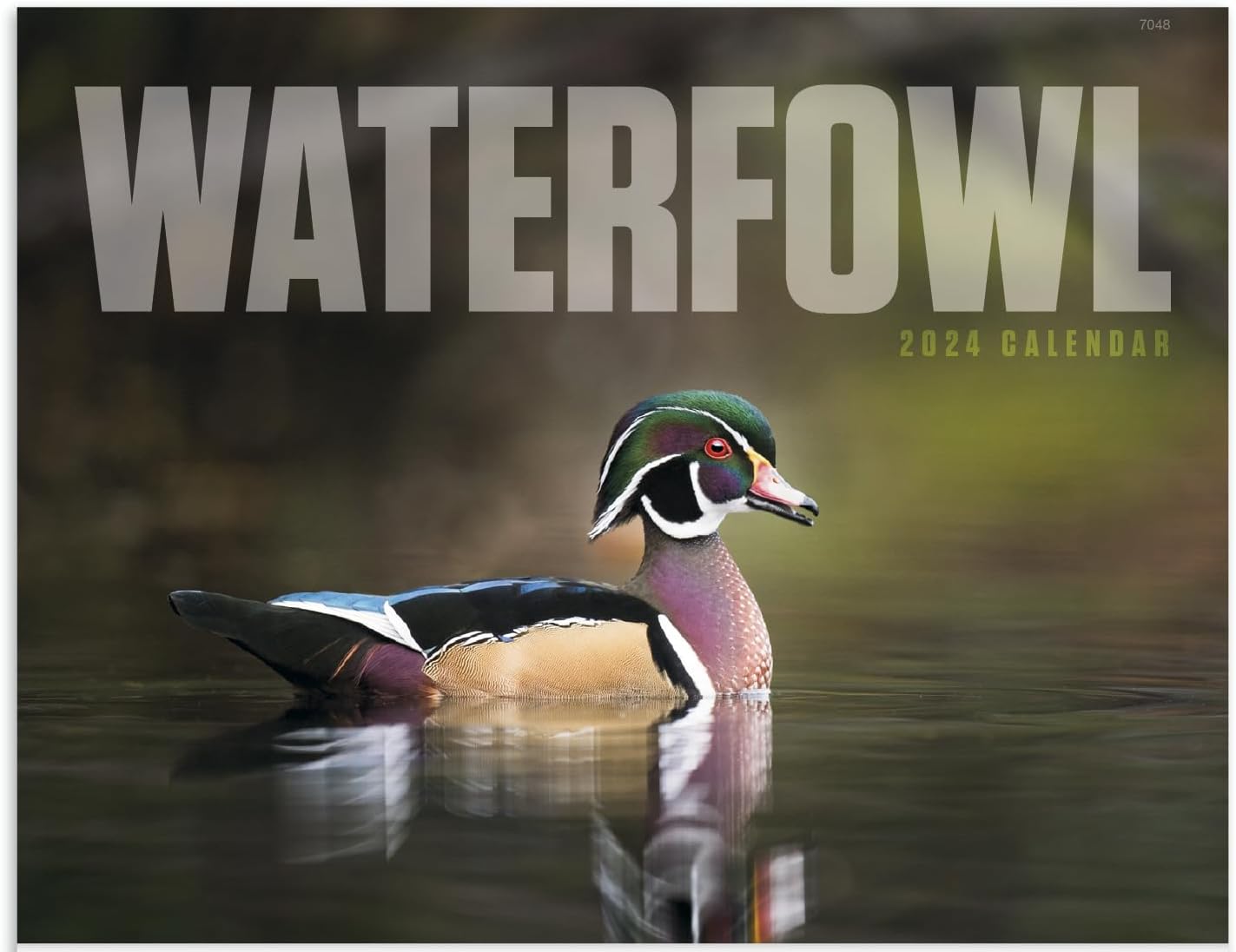 Amazon.com: Waterfowl 2024 Hanging Wall Calendar - 19" x 11" (Open ...