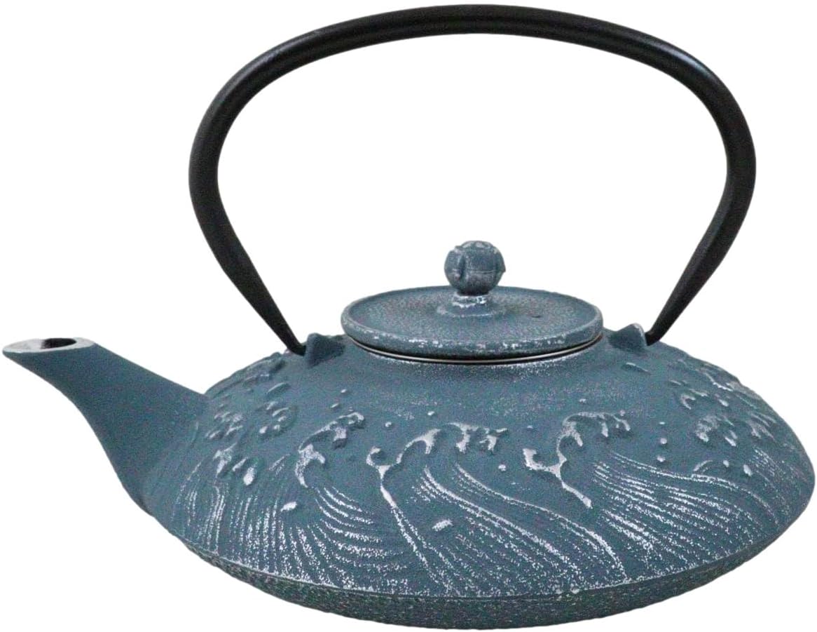 Amazon.com | Ebros Gift Traditional Oriental Tetsubin Cast Iron Teapot ...