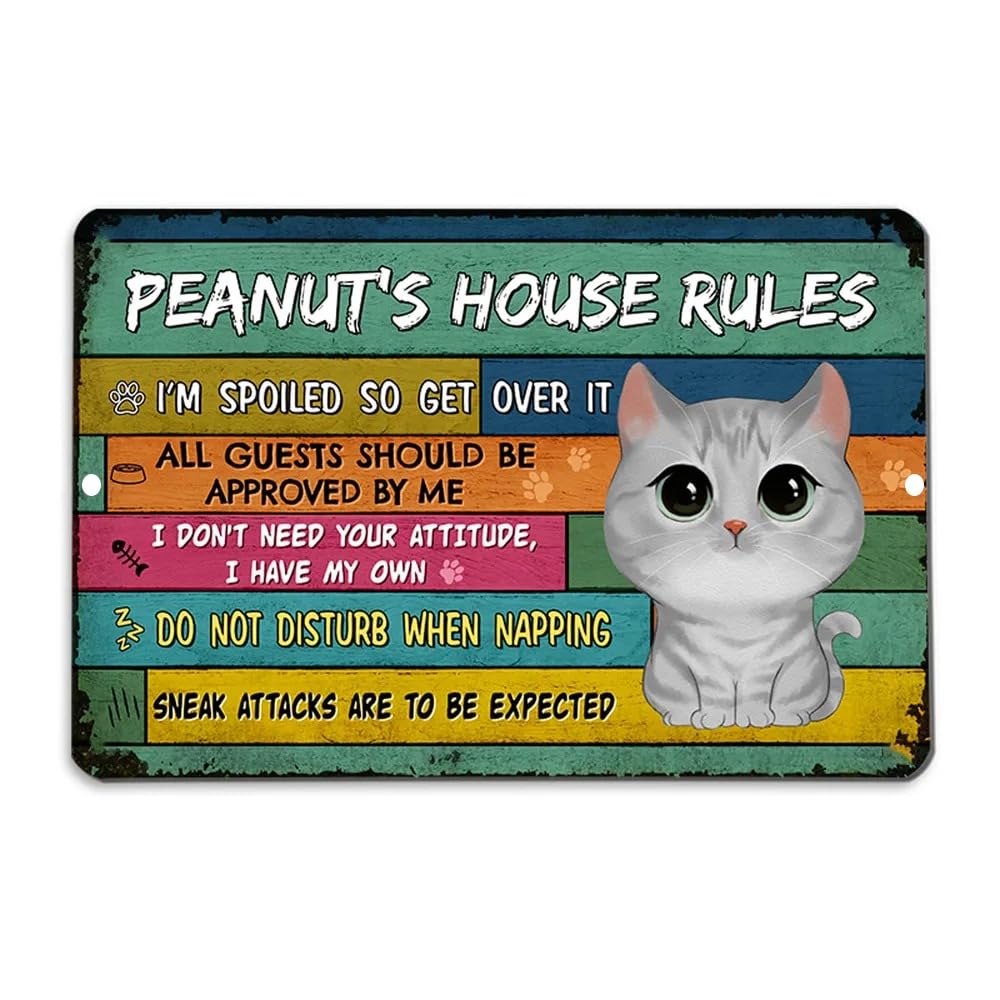 Do Not Disturb Cat Box