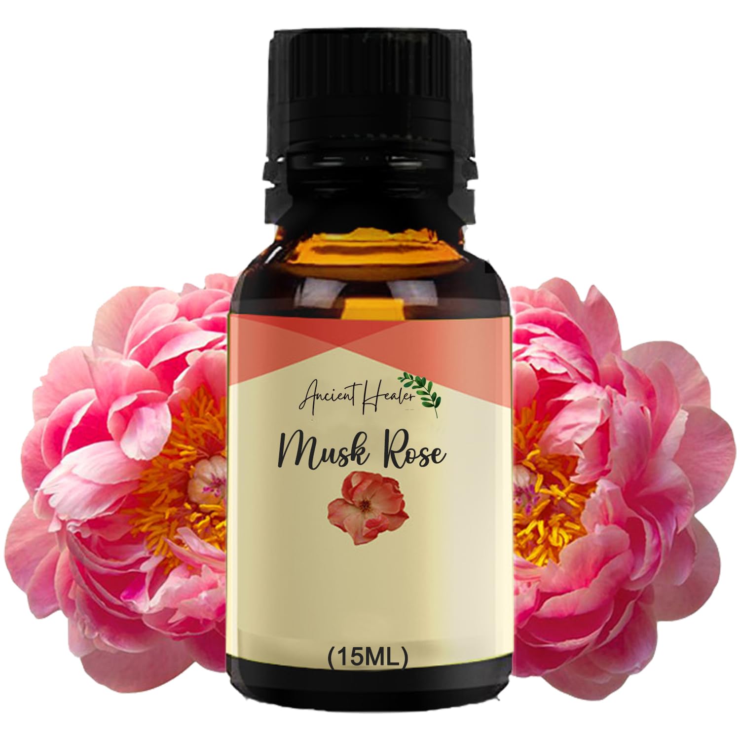 ANCIENT HEALER Musk Rose Essential Oil - 15ml | Natural & Organic Scent ...