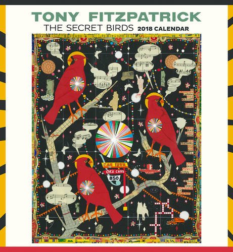 Fitzpatrick/Secret Birds 2018 Wall Calendar : Fitzpatrick, Tony: Amazon ...