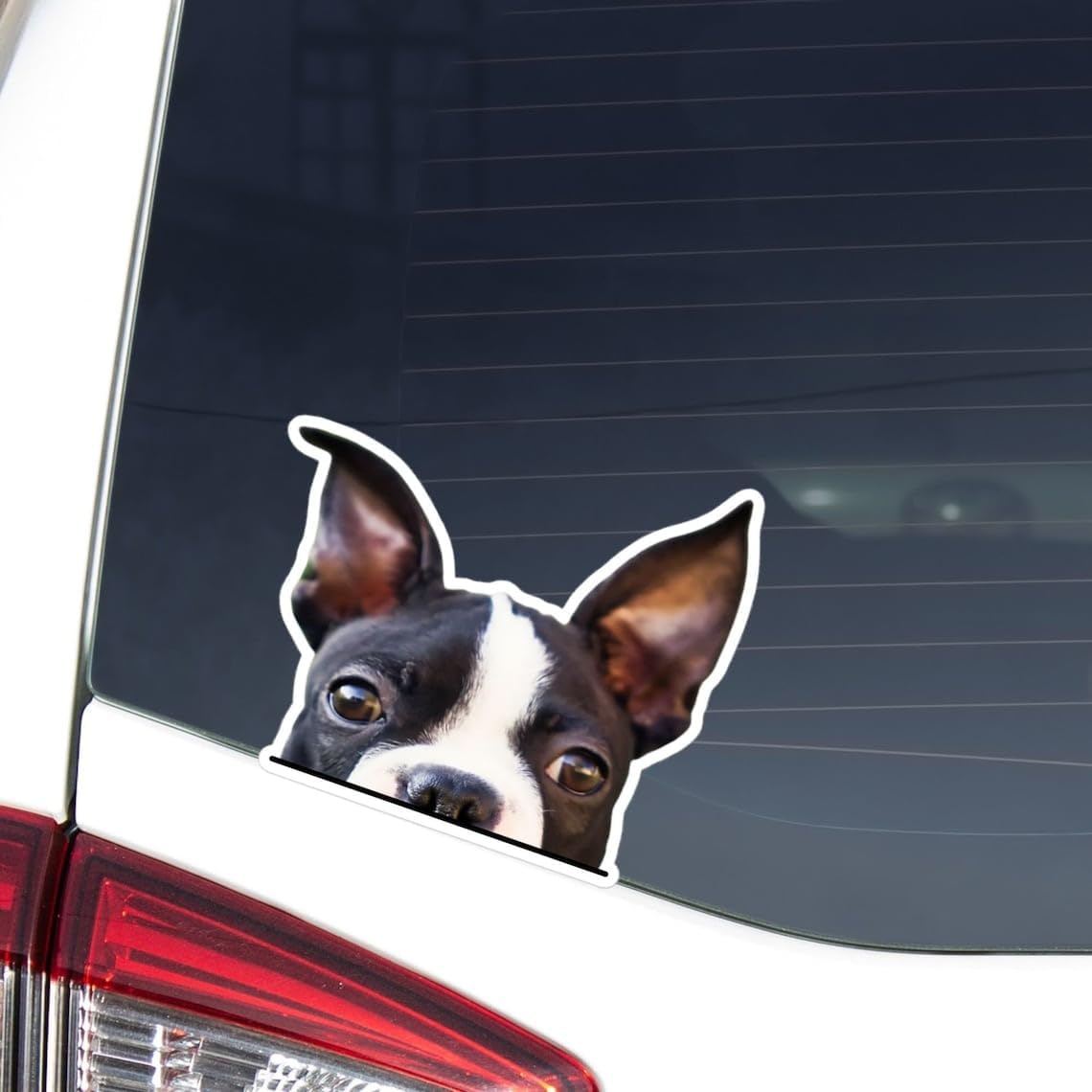 Amazon.com - Black&White Boston Terrier Car Decal Sticker, Peeking ...