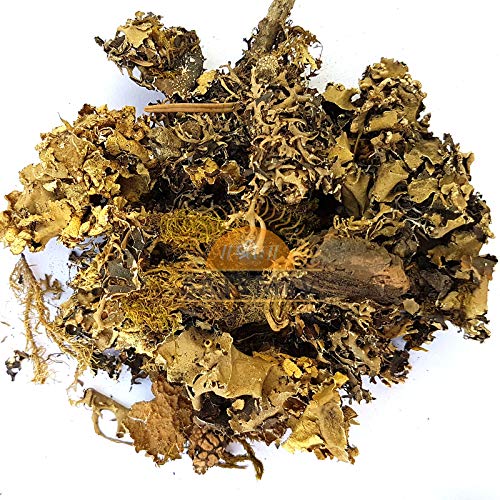 Dagad Phool Stone Flower Kalpasi Indian Spice 100g | Desertcart New Zealand