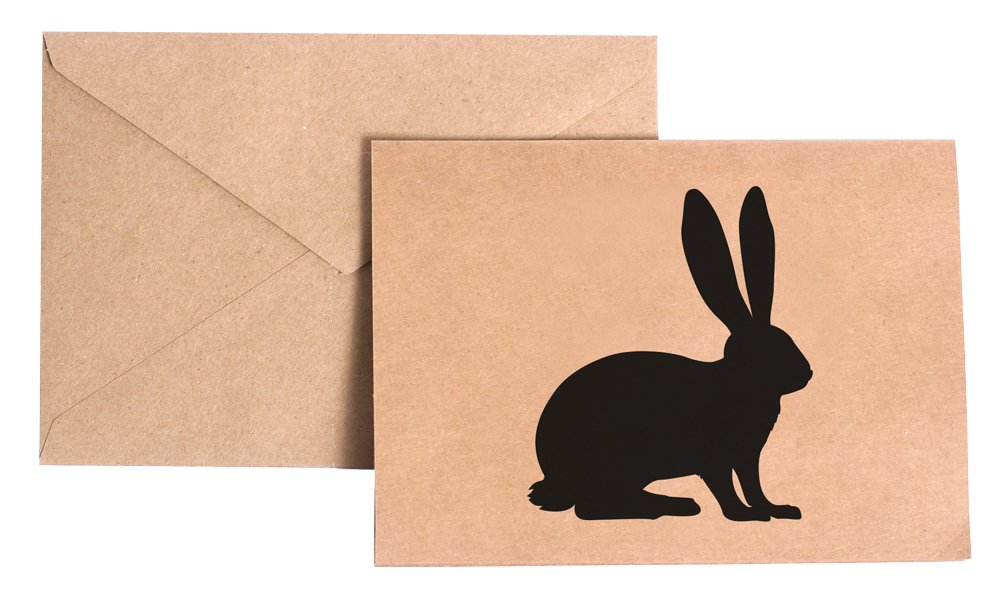 Amazon.com : Rabbit Stationery Note Card Set : Health & Household
