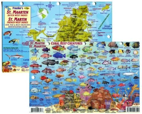 Amazon.com: Frankos St Martin, St Maarten Fish Id Card with Island Map ...