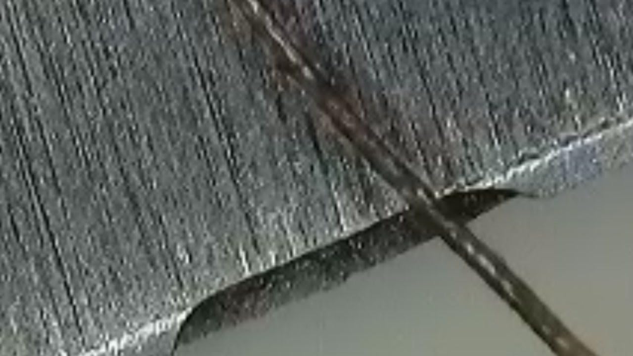 Jiusion 4K WiFi USB Digital Handheld Microscope, 50 to 1000x Wireless ...