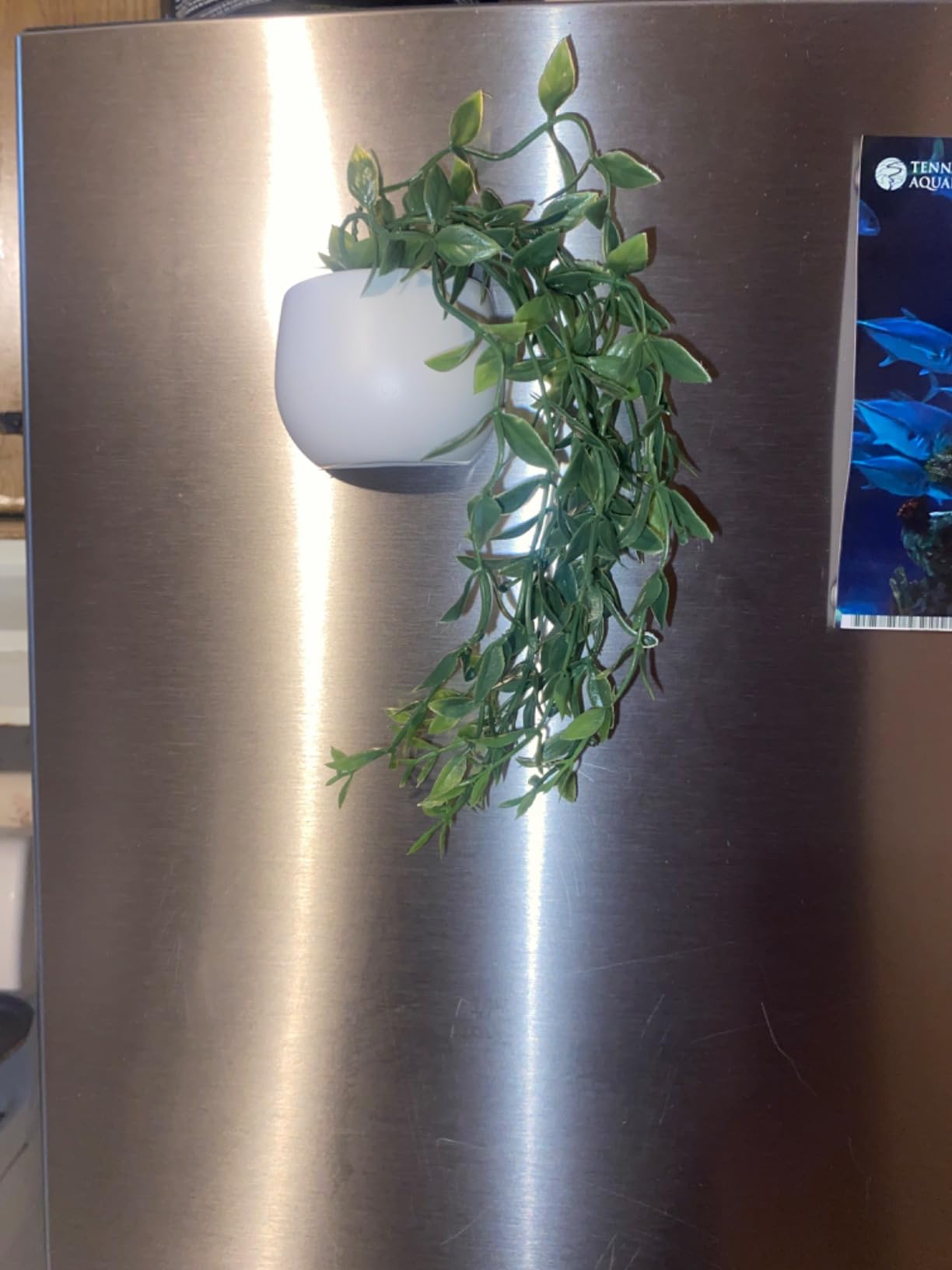 Amazon.com: BBZWYP Fridge Magnet Plant Magnets Succulent Magnets ...