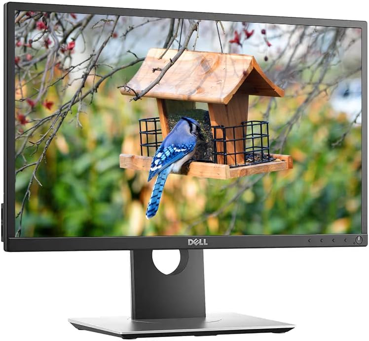 Amazon.com: HP M1F41AA#ABA Elite DISP E202 20IN LED LCD Display : Electronics