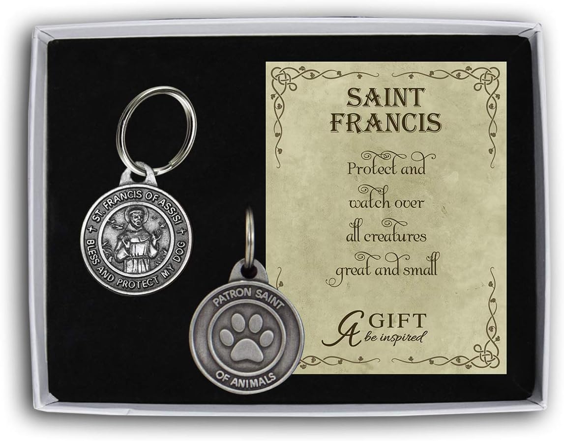 Amazon.com: (Abbey & CA Gift) Dog Tag - St. Francis : Home & Kitchen
