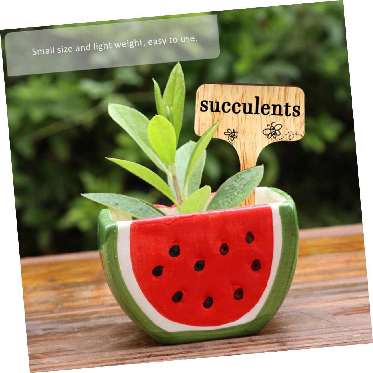Happyyami 1 Set 50Pcs T-Shaped Wooden Plant Sign Insert suculentas Mini ...