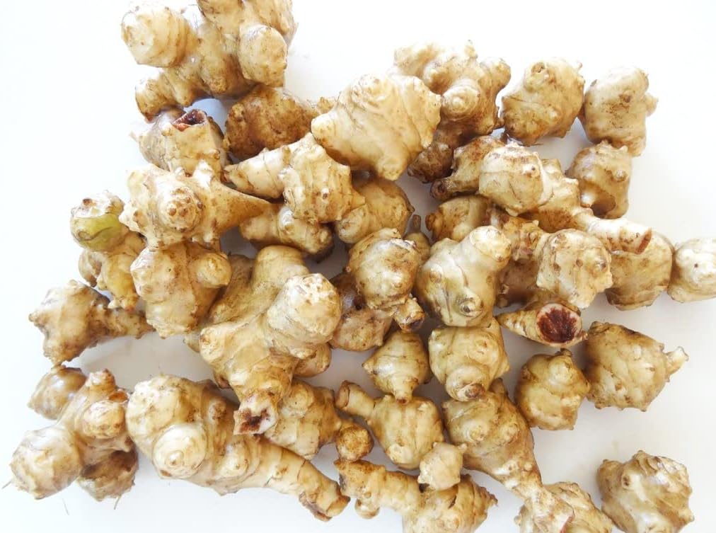 Amazon.com : One Pound of Jerusalem Artichoke Tubers | Sunchokes by ...
