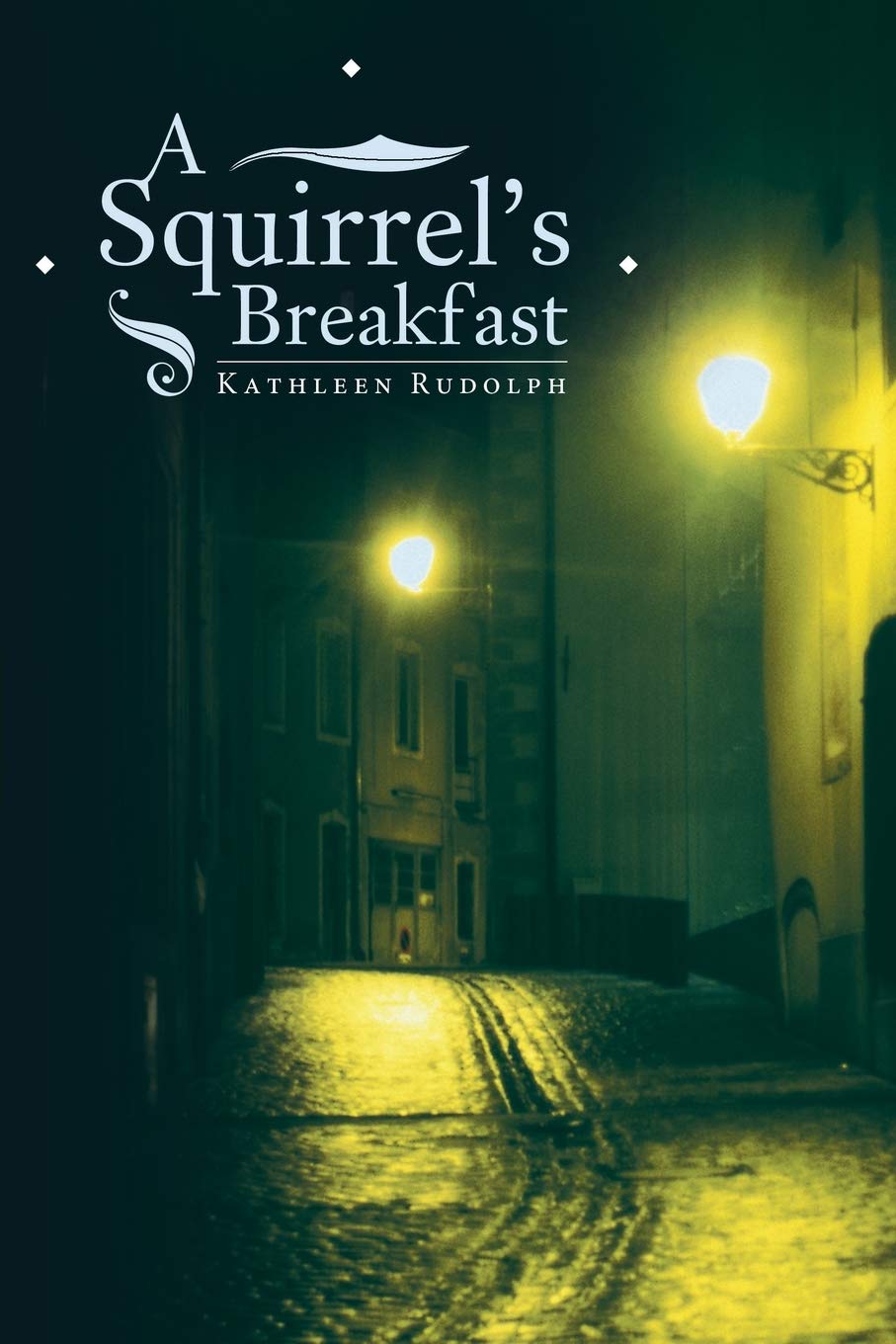 A Squirrel's Breakfast: Rudolph, Kathleen: 9781458207654: Amazon.com: Books