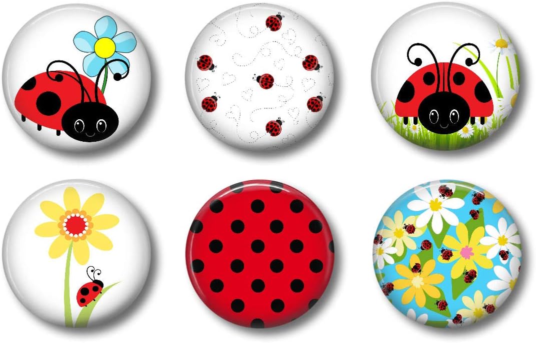 Amazon.com: Ladybug Magnets - Set of Six 1.75" Button Style - Locker ...