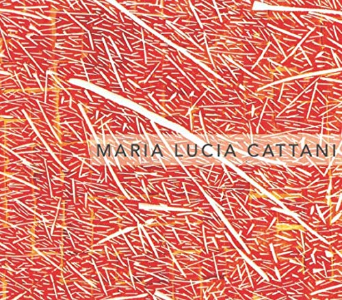 Amazon.com: MARIA LUCIA CATTANI (Portuguese Edition): 9788594892102 ...