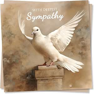 Beautiful White Dove Sympathy or Condolences Card - Special Card For ...