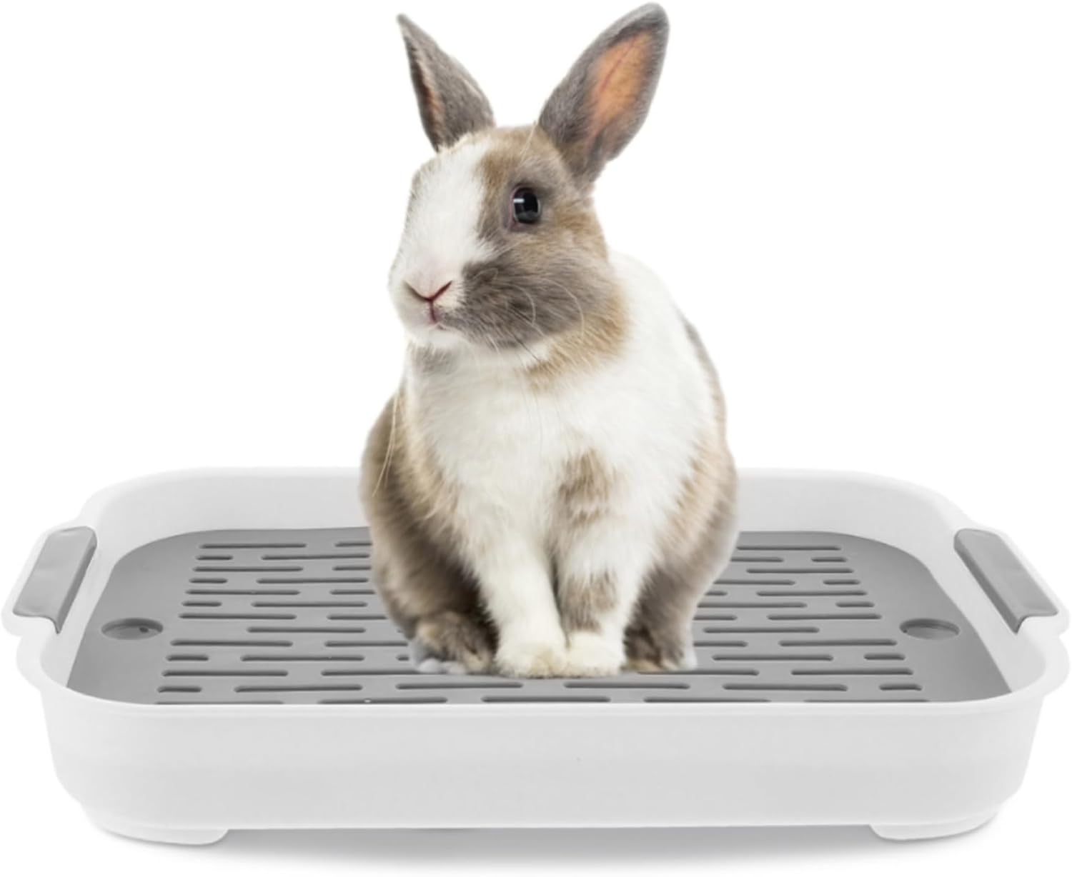Amazon.com : Rabbit Litter Tray 2 Tier Rabbit Litter Box Plastic ...
