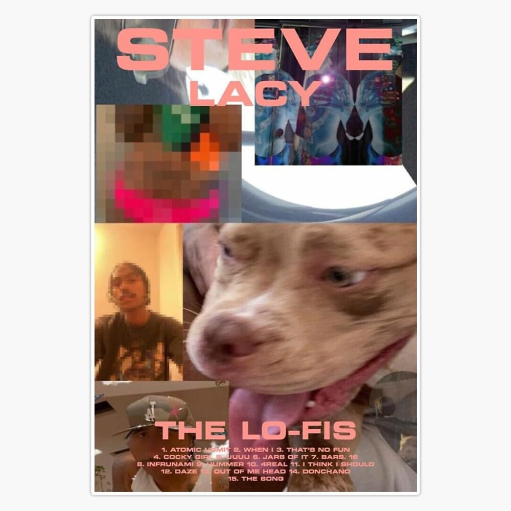 Amazon.com: The Lo-Fis - Steve Lacy Album Sticker Vinyl Waterproof ...