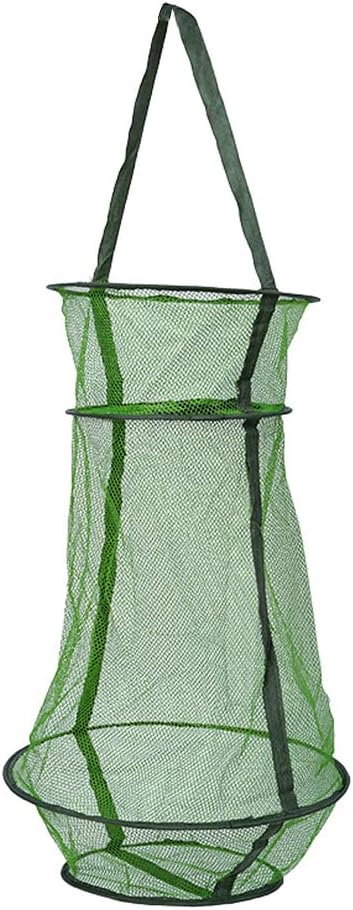 Amazon.com : Fishing Keep Net Collapsible Mesh Fish Cage Fishing Basket ...