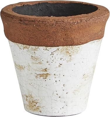 Amazon.com: Matri Owen - Plant Pots with Drainage - 6 inch Plastic ...