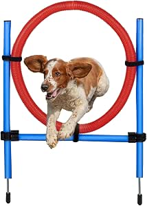 Kuvias Dog Jump Ring Agility Hoops Set - Durable Hoopers Dog Agility ...