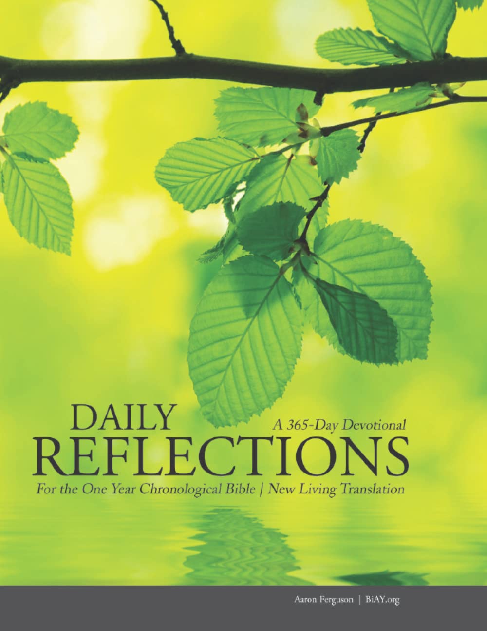 Daily Reflections for the One Year Chronological Bible: Read the Bible ...
