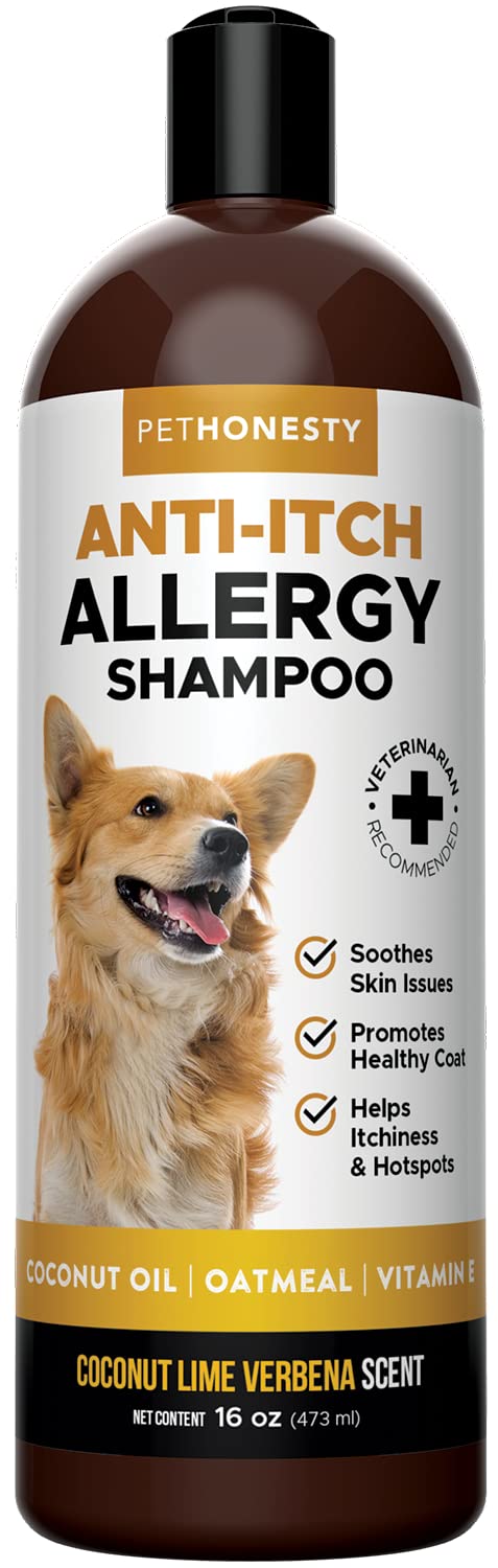 What Can I Use To Help My Dog Stop Itching