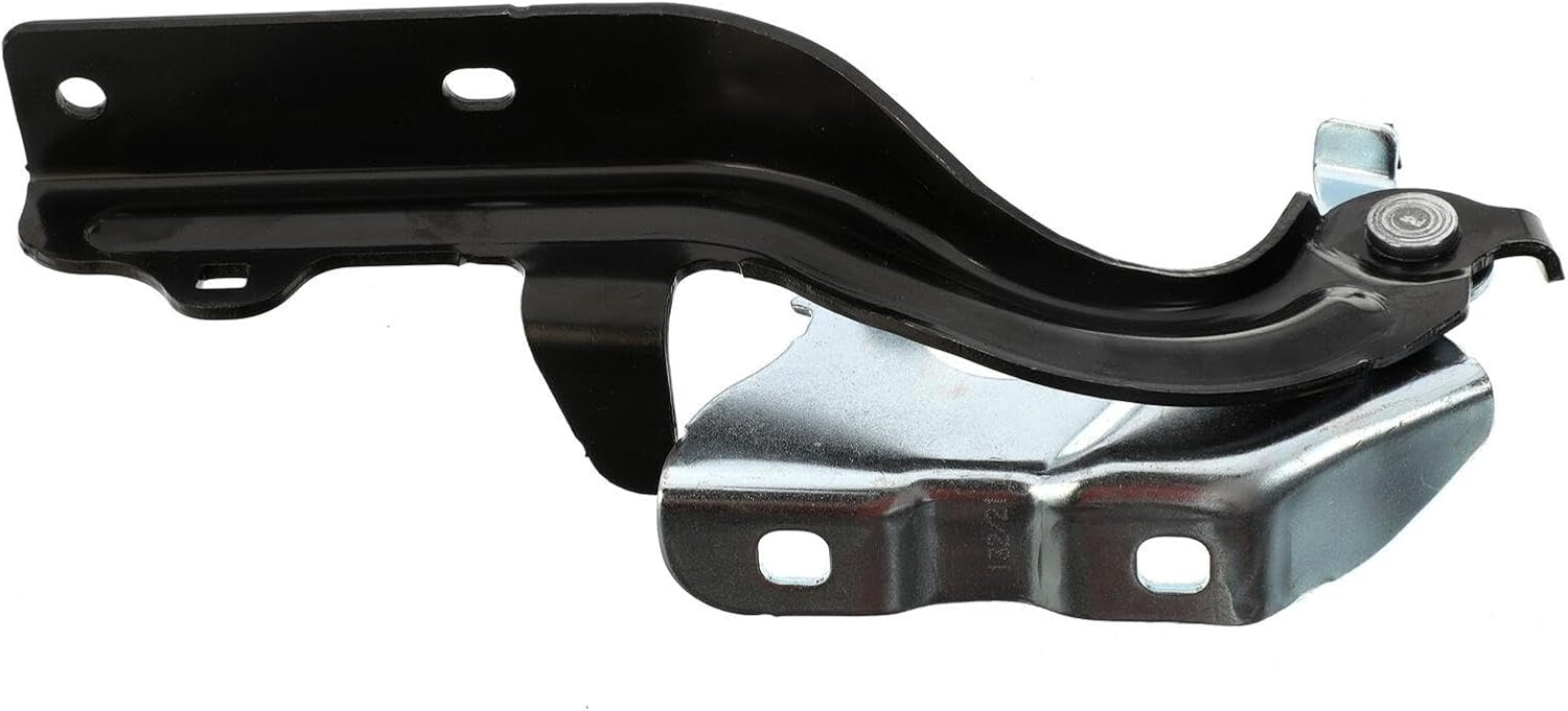 Amazon.com: OEM 2019-2022 Altima Right Hood Hinge 65400-6CA0A ...