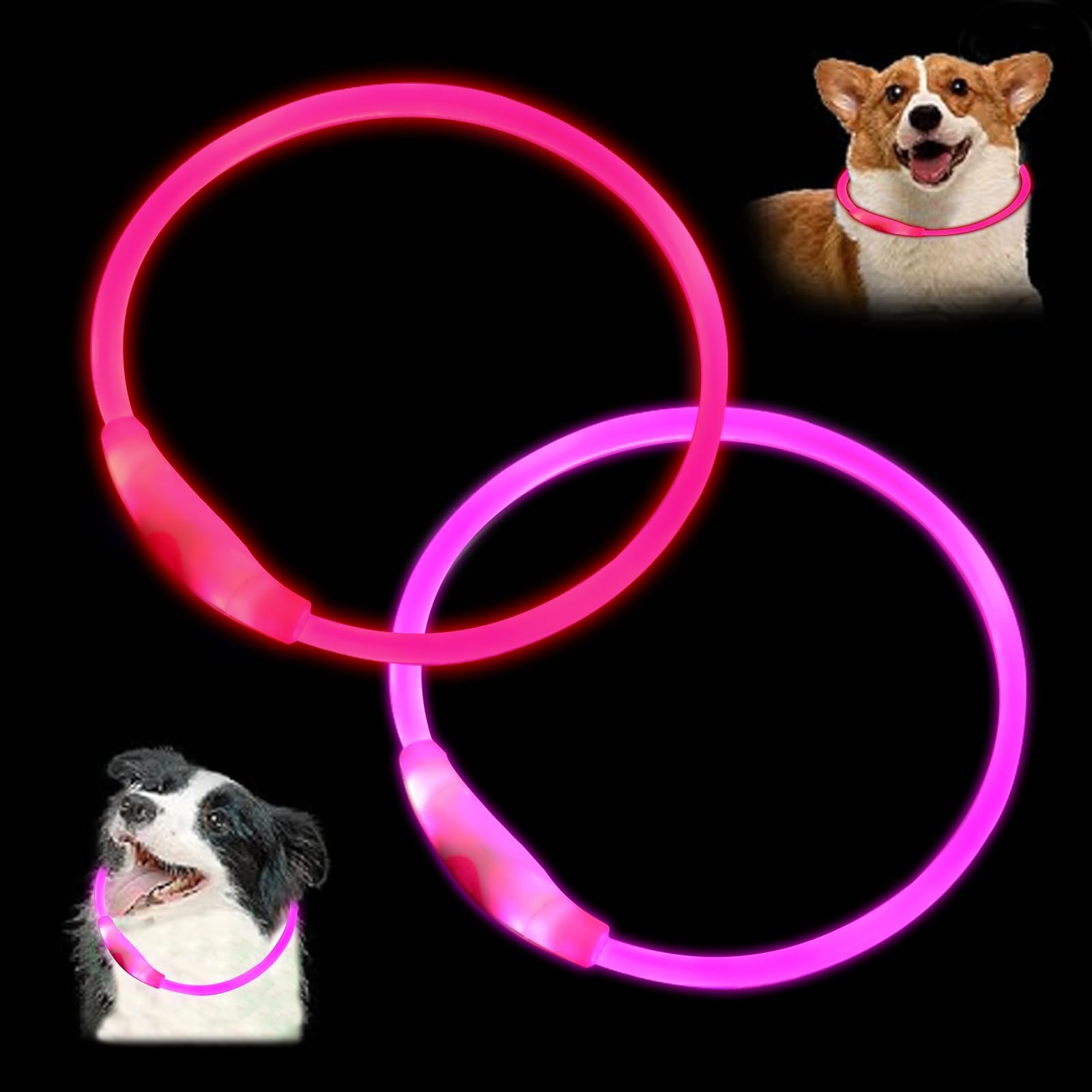LED Dog Collar,Glow Light Collar for Dogs,Ultra Bright USB Rechargeable ...