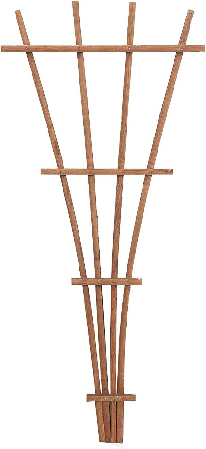 Amazon.com: Panacea 83737 48" Brown Wood Fan Trellis : Patio, Lawn & Garden