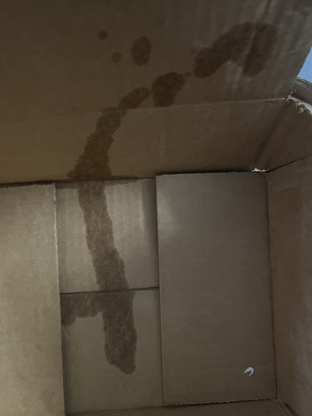 Mouse Milk Penetrating Oil - Power Tool Lubricants - Amazon.com