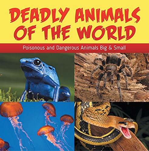 Deadly Animals Of The World: Poisonous and Dangerous Animals Big ...