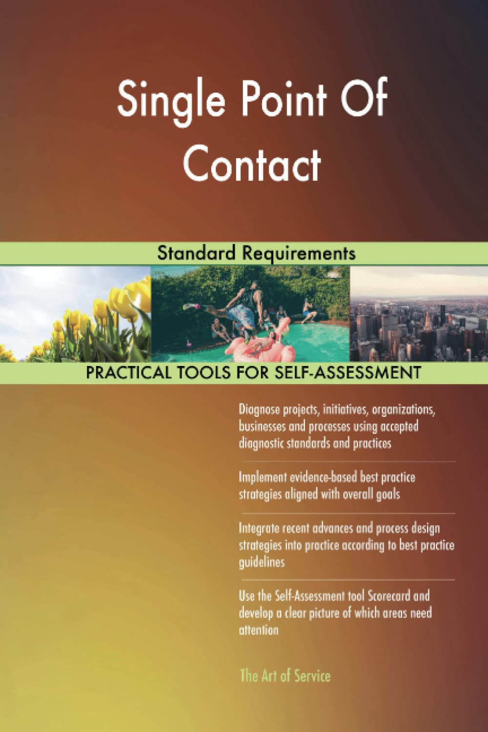 Buy Single Point Of Contact Standard Requirements Book Online at Low ...