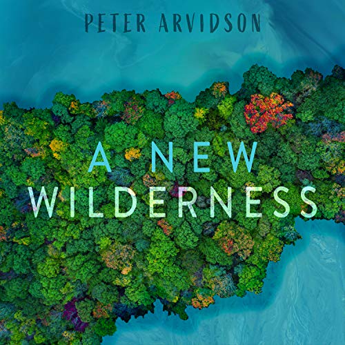 Play A New Wilderness by Peter Arvidson on Amazon Music